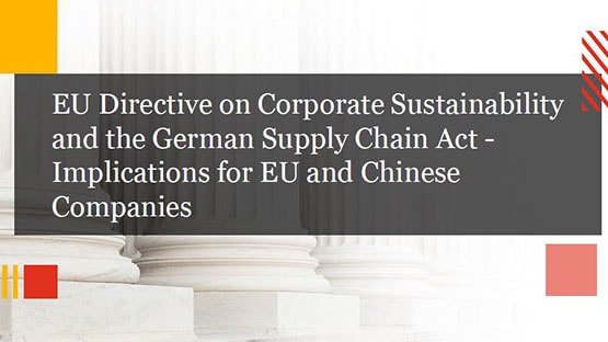 PwC China: EU Directive on Corporate Sustainability and the German ...